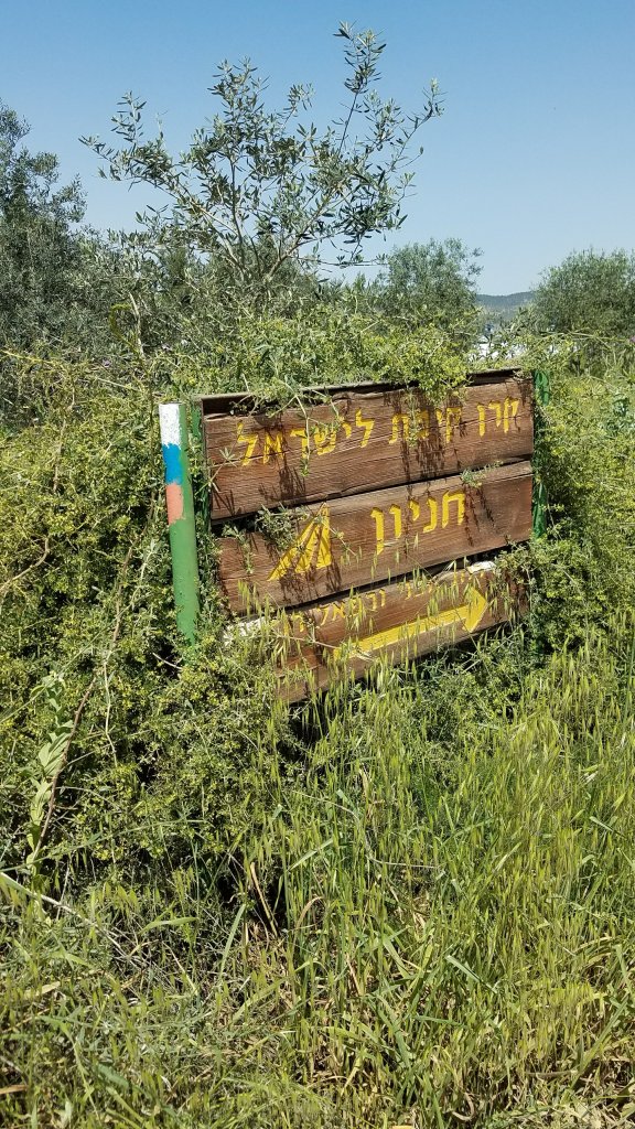 The Alef, the Tav, Eclipses and the Exodus | natsab