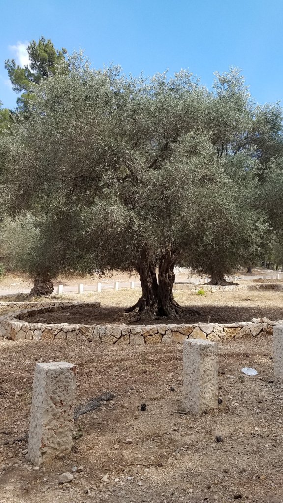 The Alef, the Tav, Eclipses and the Exodus | natsab