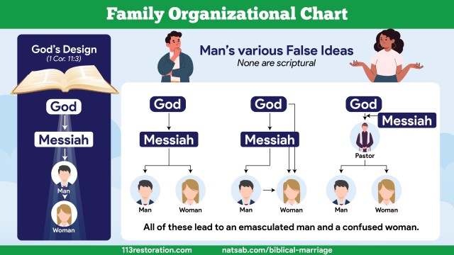 family-organizational-chart-01-1 | natsab